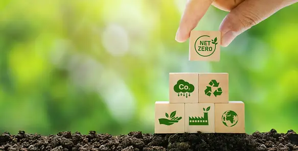 Carbon Offsetting Explained: Balancing Travel Emissions with ...