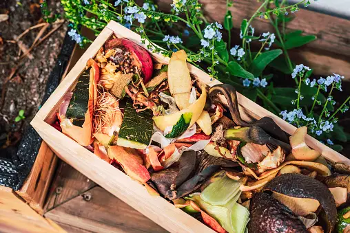 Urban Composting | Turning Food Scraps Into Nutrient-Rich Soil - Eco ...